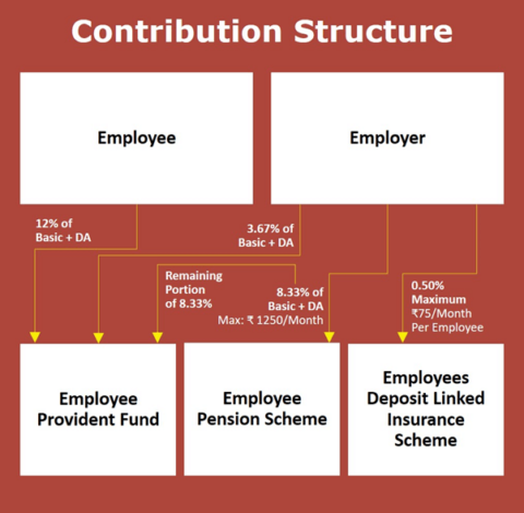 Everything You Need to Know About Employees Provident Fund